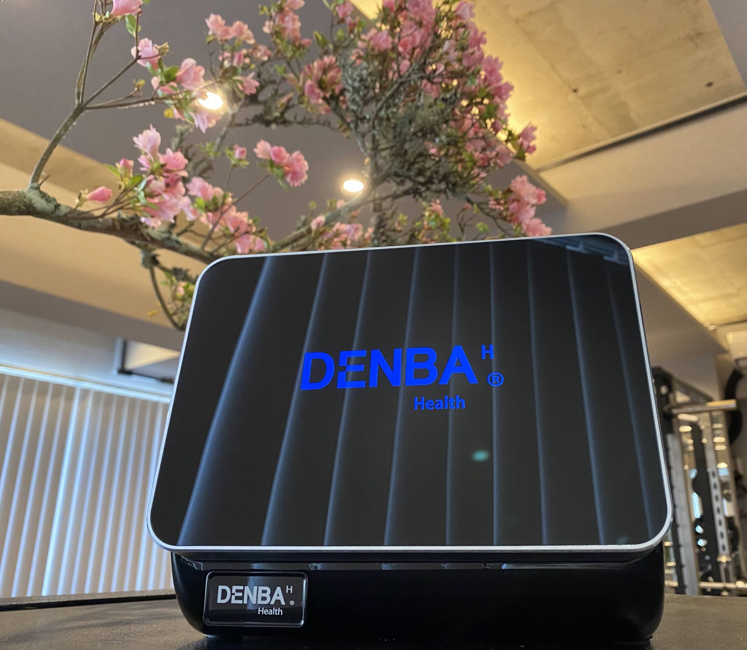 【DENBAハイグレードモデル導入のお知らせ】 - Re:Futatabi